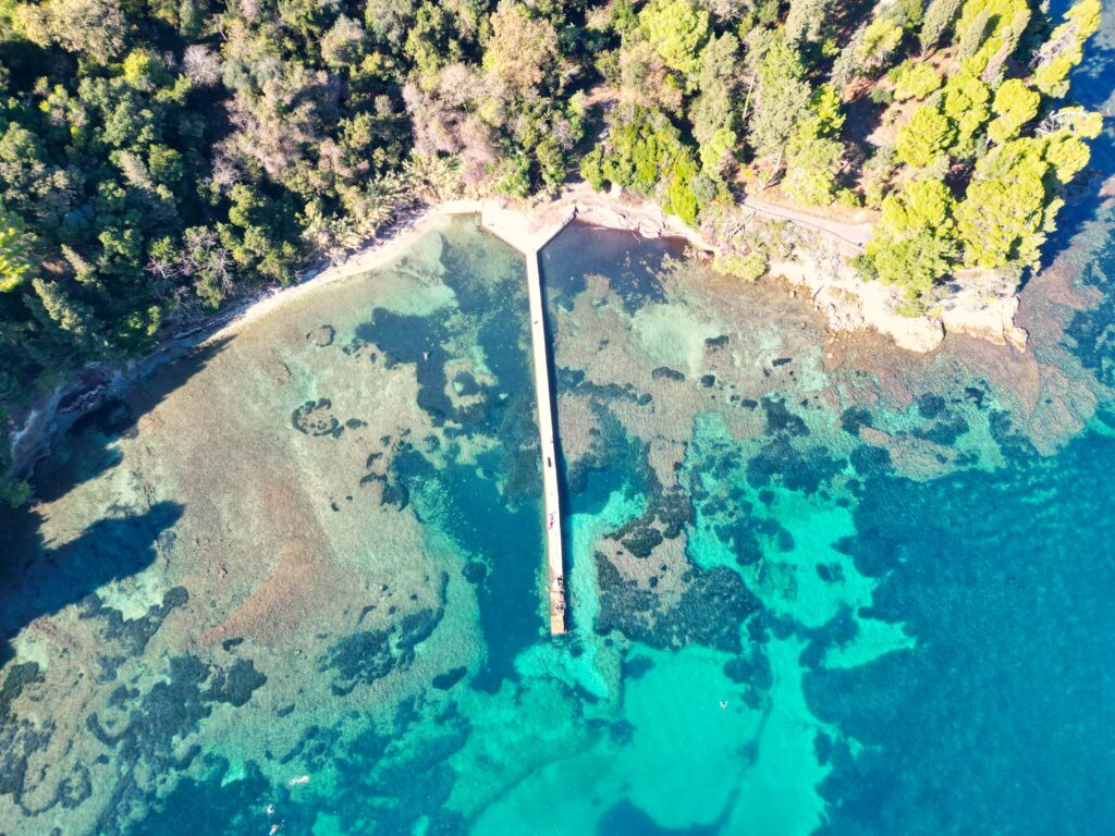 Mon Repos Corfu: A garden of history - My Corfu Experience