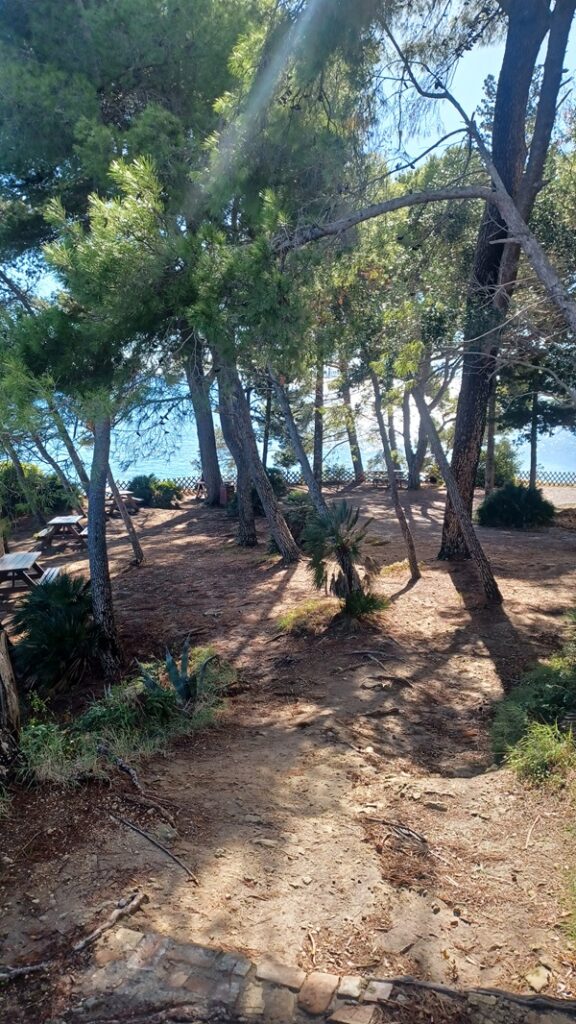 Mon Repos Corfu: A garden of history - My Corfu Experience